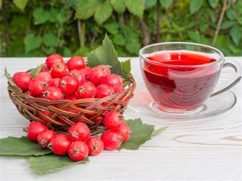 კუნელის ნაყენი აფართოებს სისხლძარღვებს აძლიერებს სისხლის მიმოქცევას გულსა და თავის ტვინში