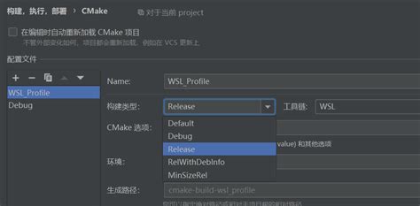 Clion无法debug Zks Blog