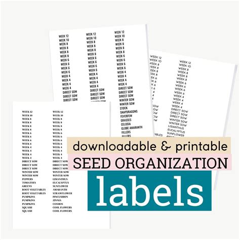 Printable Seed Organizer Labels Shifting Roots