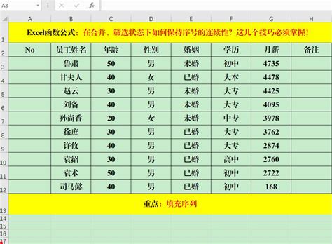 在合并、筛选状态下如何保持序号的连续性？这几个技巧必须掌握！ 知乎