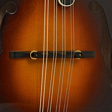 Triggs F 5 Mandolin 2015 Elderly Instruments