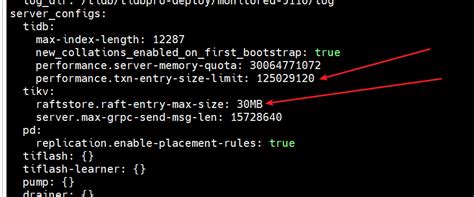 dm同步报错：entry too large the max entry size is 6291456 the size of data