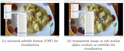 Gaze Visualization With Standard Multimedia Player A Former Download Scientific Diagram