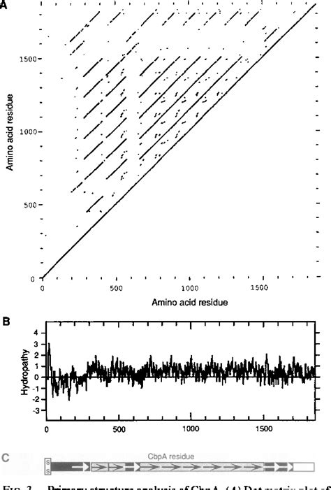 Figure 3 From Primary Sequence Analysis Of Clostridium Cellulovorans Cellulose Binding Protein A