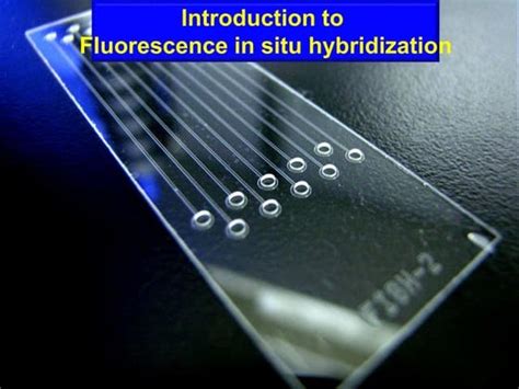 Genomic In Situ Hybridization Gish Pptx