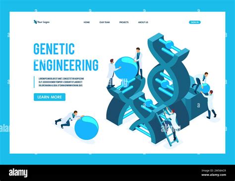Isometric Genetic Engineering Dna Structure Medical Workers