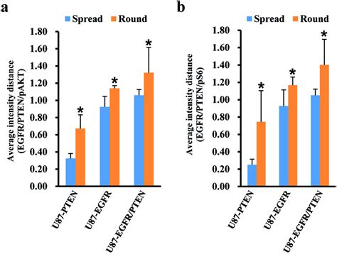 Comparison Of Mixed Cell Differentiation Of The Spread And The Round