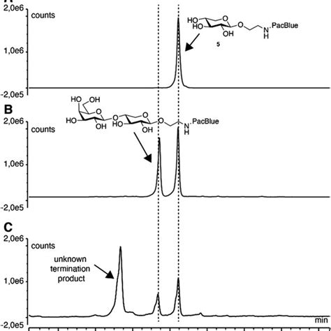 Reversed Phase Chromatography Analysis Of 5 Before A And After B Download Scientific