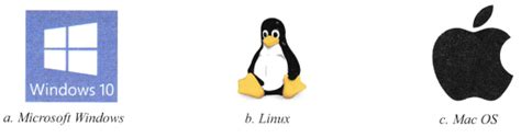 cbse notes for class 5 computer in action computer software and its