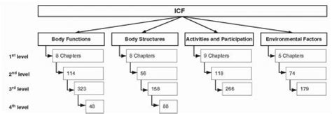 Applying The Icf In Rehabilitation Medicine Musculoskeletal Key