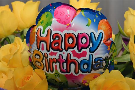 무료 이미지 꽃 풍선 식품 색깔 화려한 노랑 디저트 장난감 생일 축하 파티 이상한 치하 단맛