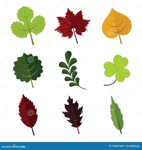 Various Floral Element Leaves Vector Illustration Graphic Set Stock Vector Illustration Of