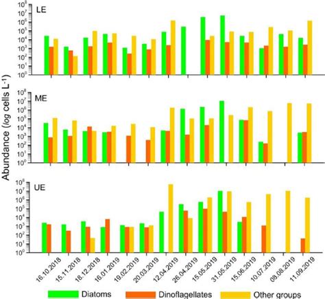 Cell Abundances Of The Phytoplankton Groups In The Lower Middle And Download Scientific