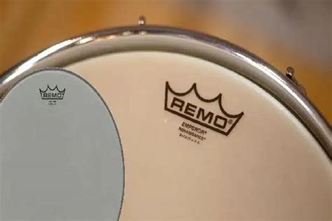 Exploring The Remo 16 Drum Head The Best In Town