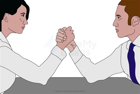 Sexual Selection AQA A Level Psychology Revision Notes