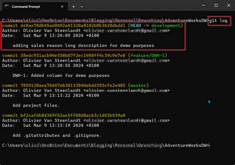 Database Projects Committed To The Wrong Branch Now What