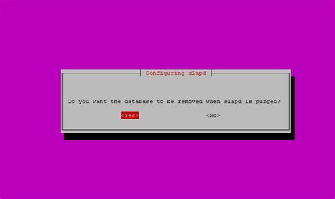 Configuración De Openldap Y Phpldapadmin En Ubuntu 2404 Witcherit