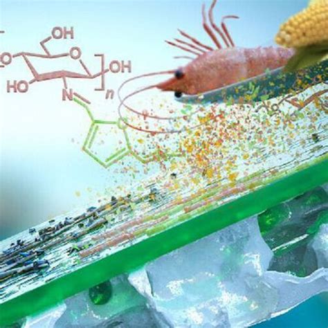 Introducing A Sustainable Thin Film Composite Membrane Made From Shrimp Shells
