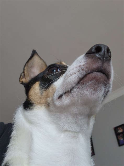 Create A Thingy Tier List Tiermaker