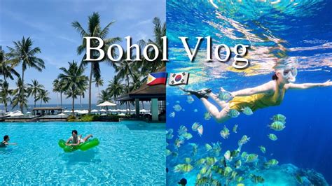 Bohol Vlog 🇵🇭 직장인의 환승이직 출근전 필리핀 보홀 여행브이로그 헤난 알로나비치 리조트호핑투어 추천스노쿨링 I 술마시고 수영하고 🍻 Youtube