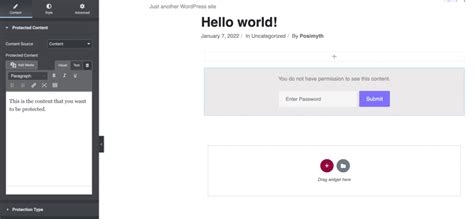How To Create Elementor Password Protected Page In 2024