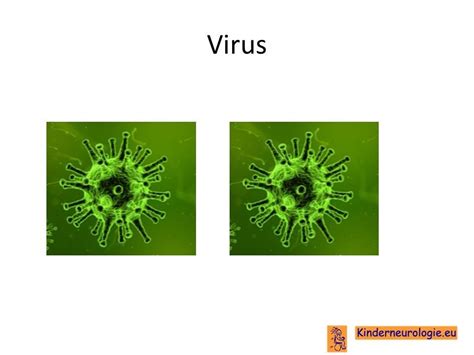Opsoclonus Myoclonus Syndroom Kinderneurologie