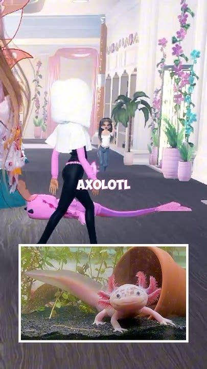 The Coolest DTI Hack Yet Axolotl Hack Turned Into A Creativity Dresstoimpress Dti