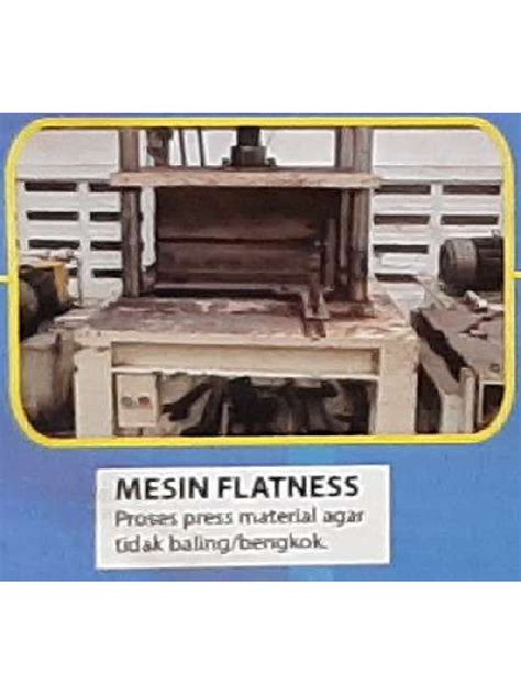 flatness machine pdf