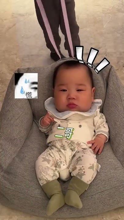 狗窝溜娃，低能量米糕被高能量发糕拿捏的一天！姨姨们看米米多享受100个春日生活心愿 春日恢复能量的10件小事 Youtube