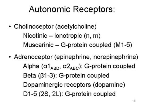Review Of The Autonomic Nervous System Part 1