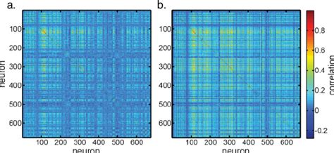 Correlation Matrices Of Neural Responses For 674 Neurons In The Data Download Scientific