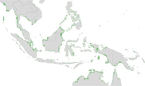 Mapping Mangroves By Satellite
