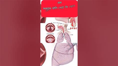 গলার ভয়েস সুন্দর হবে কি খেলে 🤔 Youtubeshort Health Questiontags Youtube