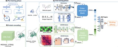 The Schematic Workf Low Of Mulinforcpi Encompasses A Pipeline That Download Scientific Diagram