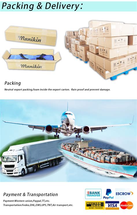 Advanced Human Tracheal Intubation Training Model Endotracheal Intubation Model Human Intubation