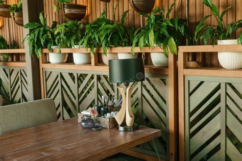 Cafe Interior With Elements Of Biophilic Design The Concept Of Biophilia Stock Image Image Of