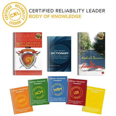 Body Of Knowledge Crl And Cmm Reliability Marketplace