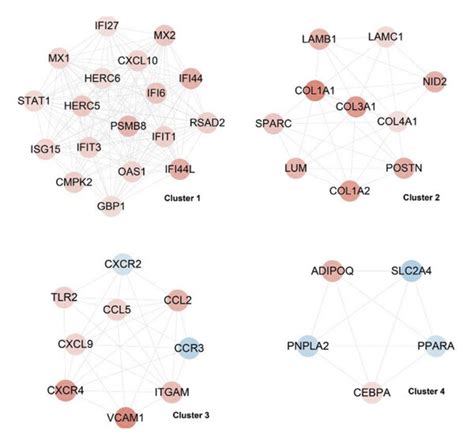 Construction Of A Protein Protein Interaction Ppi Network Based On Download Scientific