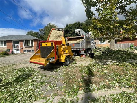 1 Tree Removal Services In Hamilton RTE Inc