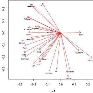 An Eigenvector Plot Displaying The Correlations On Gene Expression Download Scientific