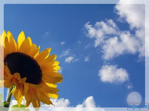 Ppt背景图片大全配图网