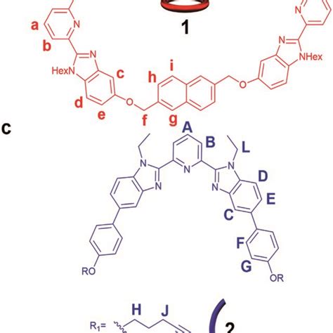 Scheme Showing Synthesis And Chemical Structure Of Doubly Threaded