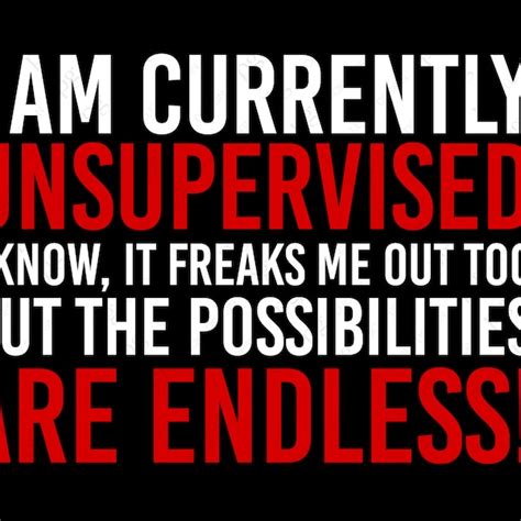 I Am Currently Unsupervised I Know It Freaks Me Out Too But The