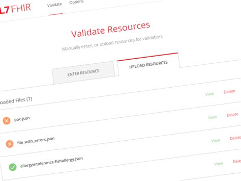 Try The Online Validator