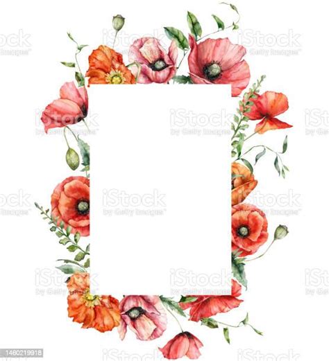 수채화 초원 꽃 양귀비 나뭇잎과 새싹의 수직 프레임 흰색 배경에 격리된 야생화의 손으로 그린 꽃 카드 디자인 인쇄 배경에 대 한 휴일 그림입니다 프레임에 대한 스톡 벡터