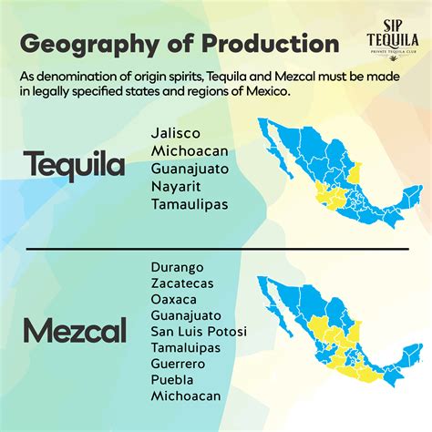 Tequila And Mezcal