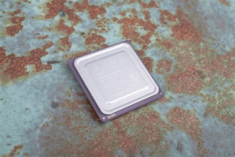 Amd Processor Bug Images Stock Photos D Objects Vectors Shutterstock