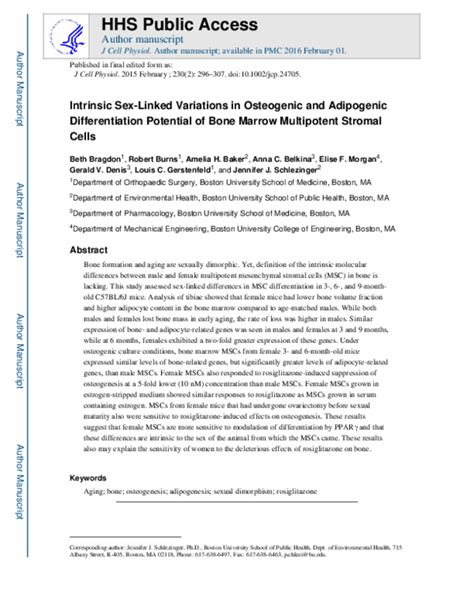 Pdf Intrinsic Sex Linked Variations In Osteogenic And Adipogenic