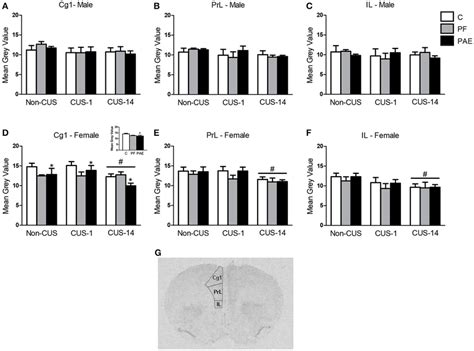 C Fos Mrna Expression In The Medial Prefrontal Cortex Mpfc Following