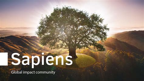 Как создать красивую презентацию в Powerpoint пошаговая инструкция Все инструкции и